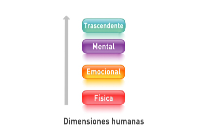 LAS DIMENSIONES DEL SER HUMANO Y SUS NECESIDADES : Melflix